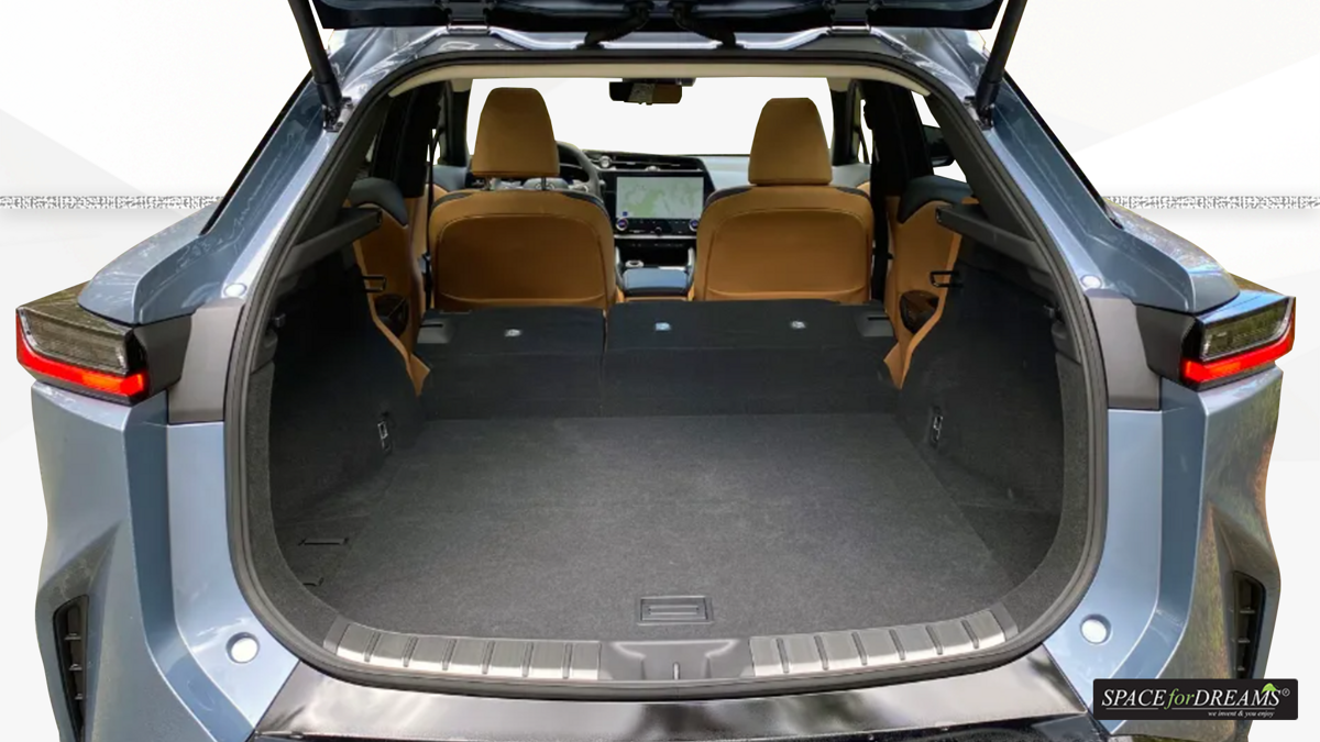 Sleeping in the car Lexus RZ